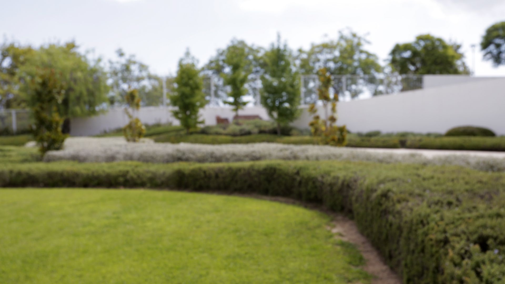 Blurred near and distance vision - Miranza