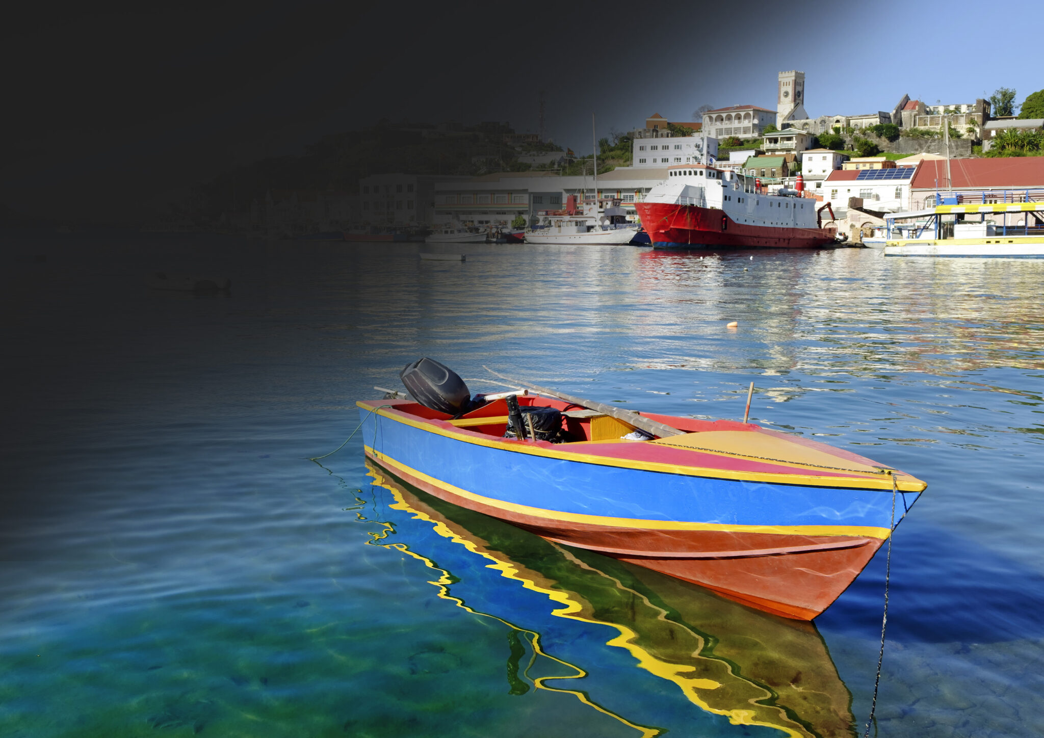 Visión de mancha negra ¿a qué se debe? | Miranza